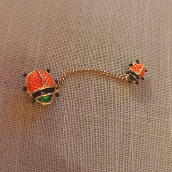 Source Unknown | Jewelry | Vintage Lady Bug Chatelaine Pin | Poshmark